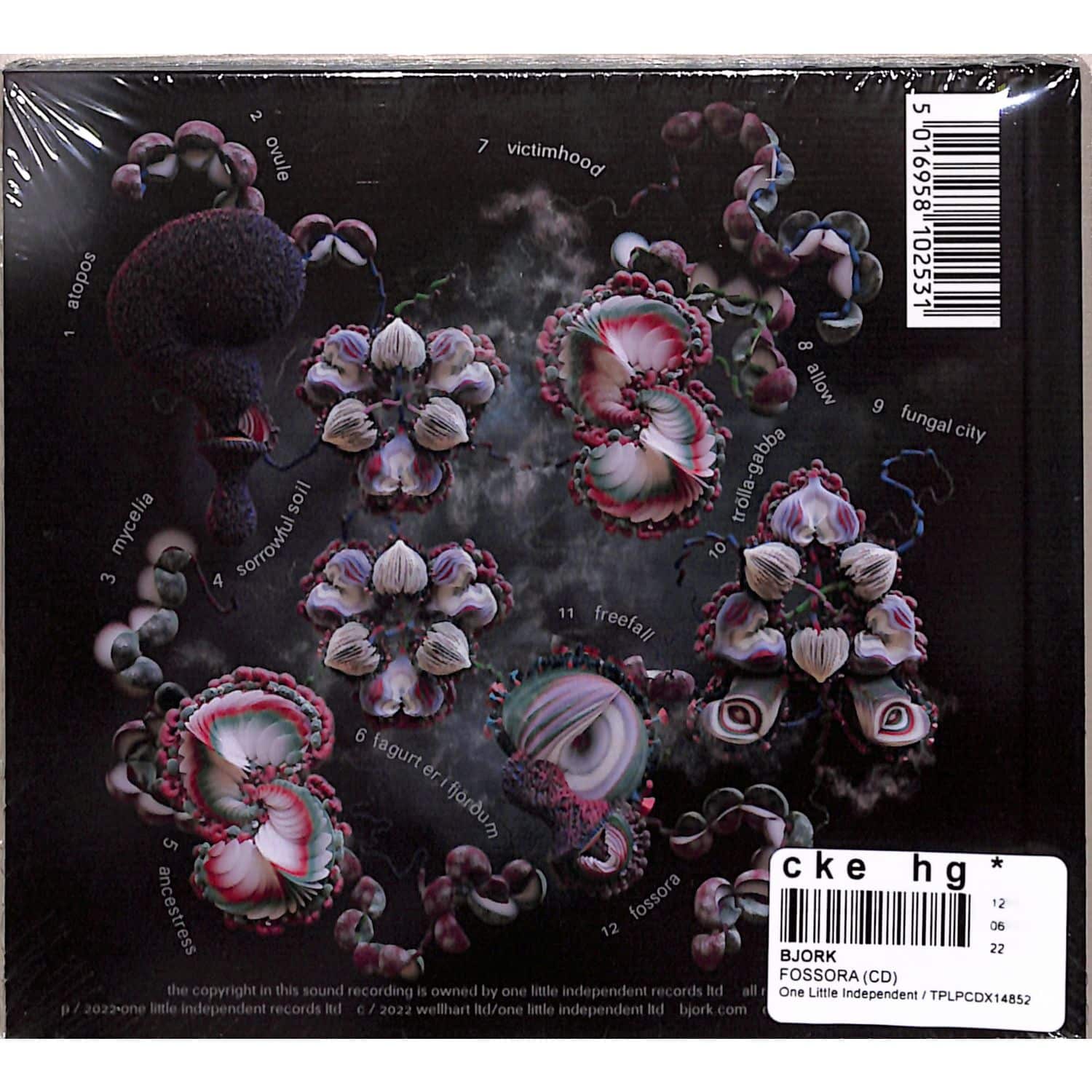 Bjork - FOSSORA Bjork - FOSSORA